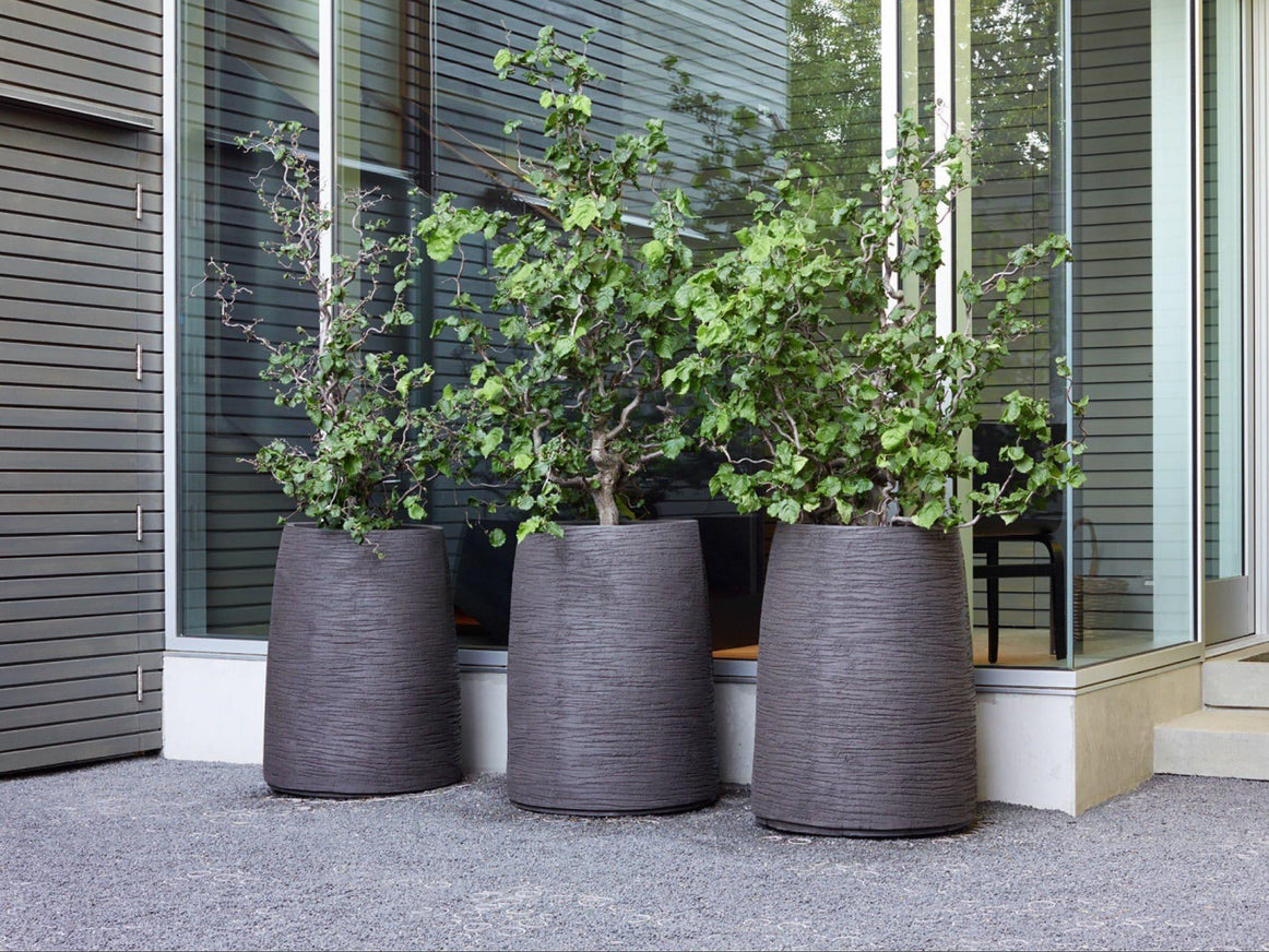 Modern Outdoor Pots & Planters Melbourne | Cosh Living