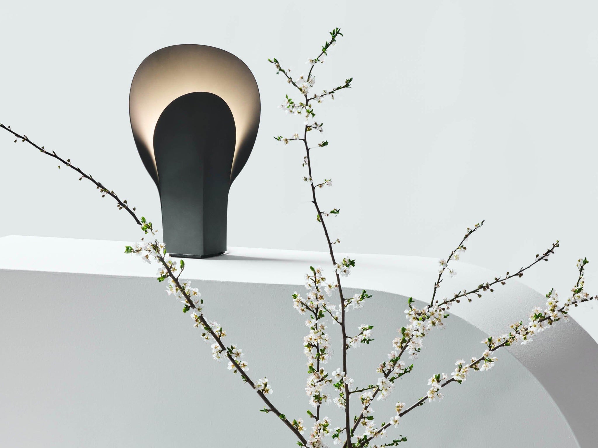 Plume Lamps by Rakumba | Lighting Collection – Cosh Living