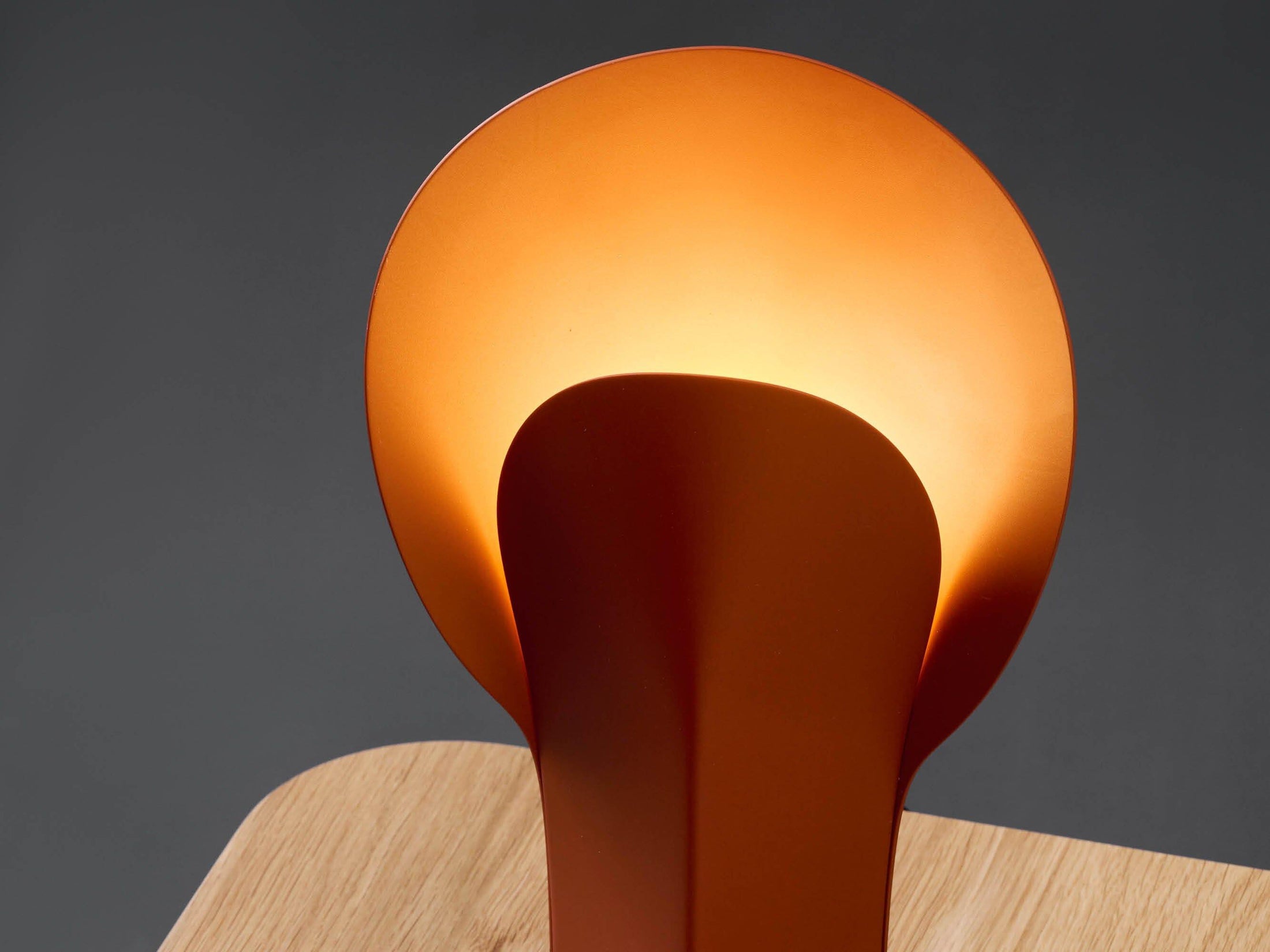 Plume Lamps by Rakumba | Lighting Collection – Cosh Living